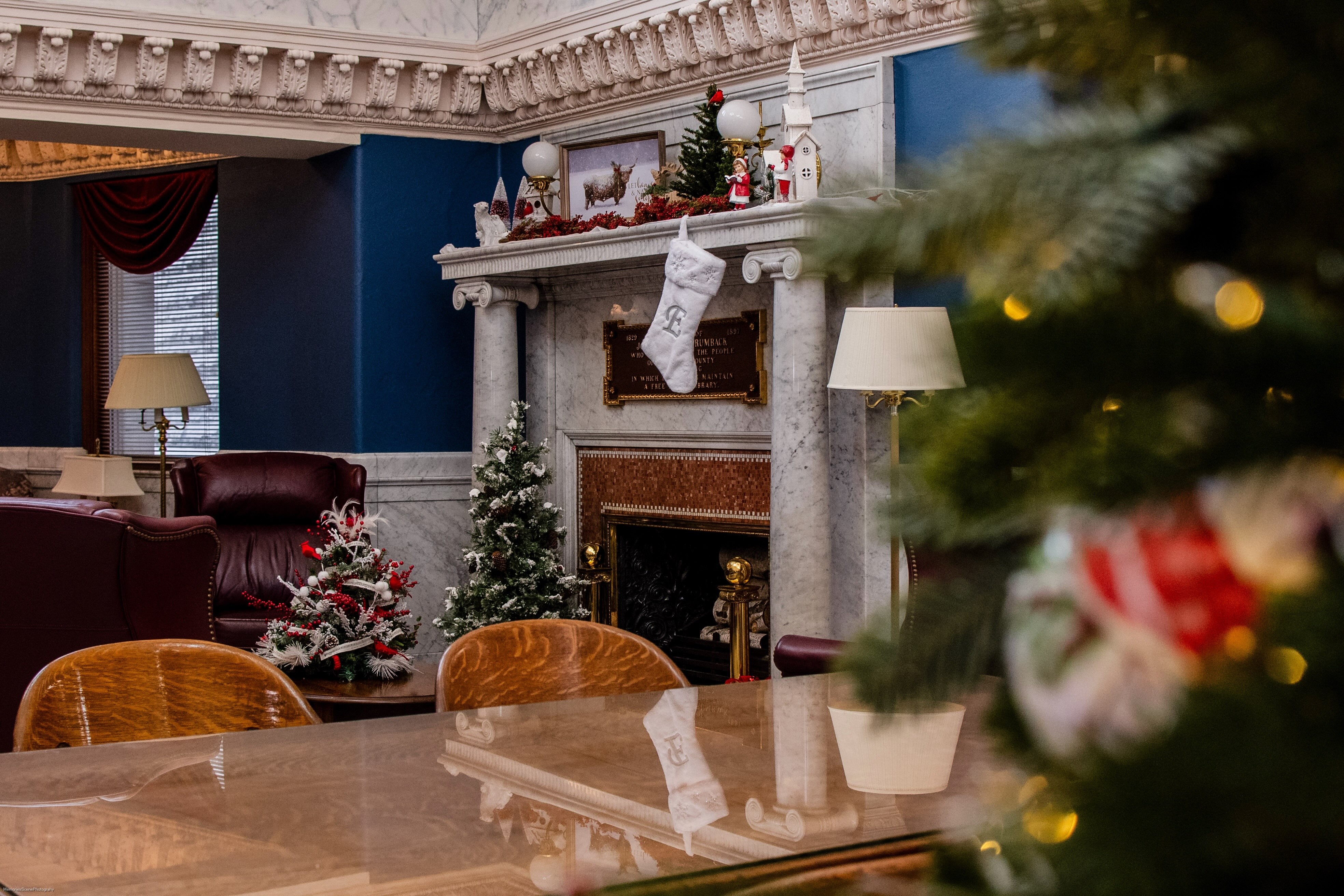 Home Page | The Brumback Library